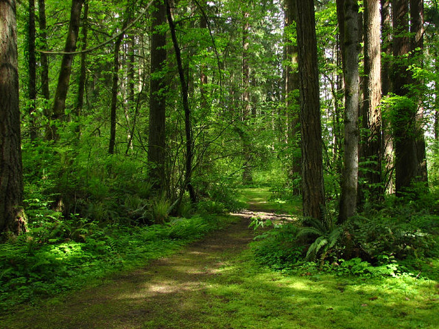 Home [www.stonyplainunitedchurch.com]